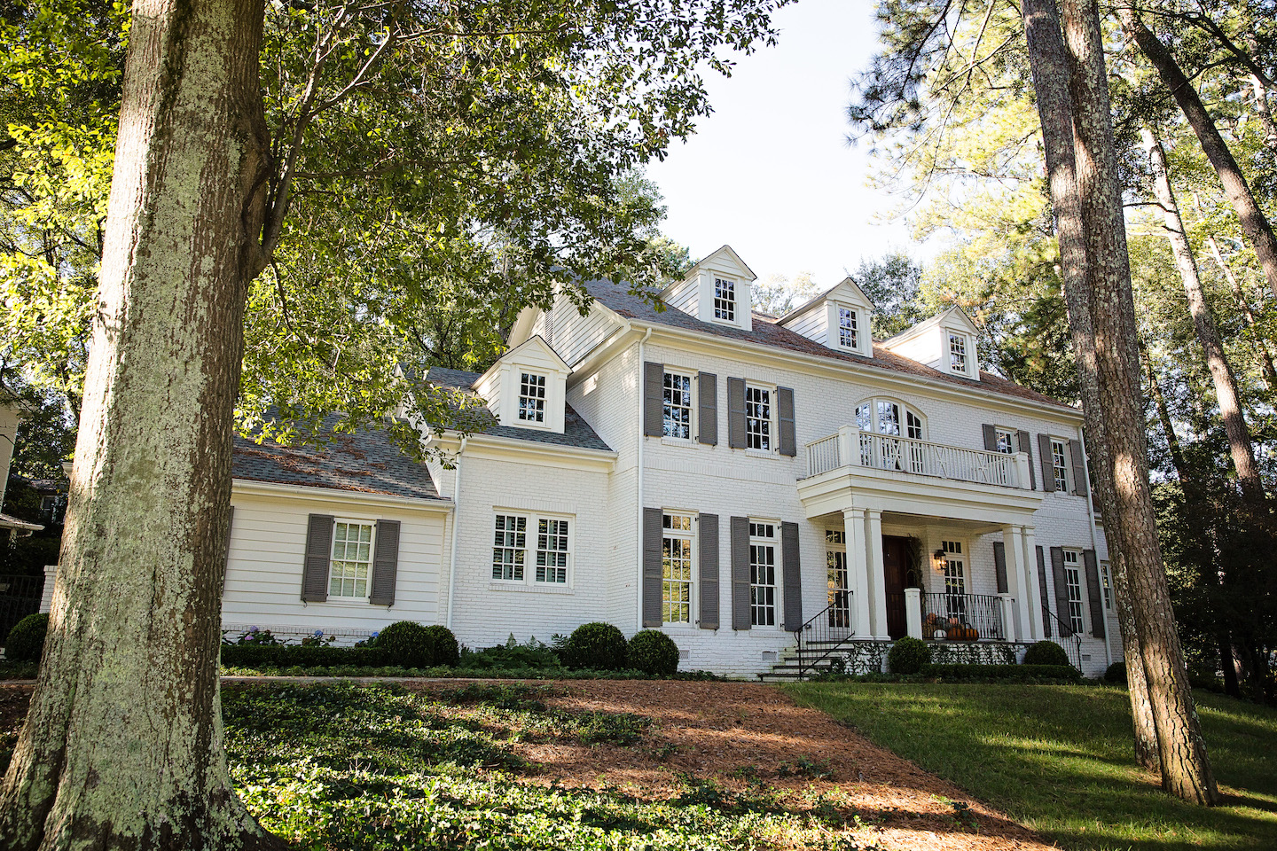 Frances Zook | Architect